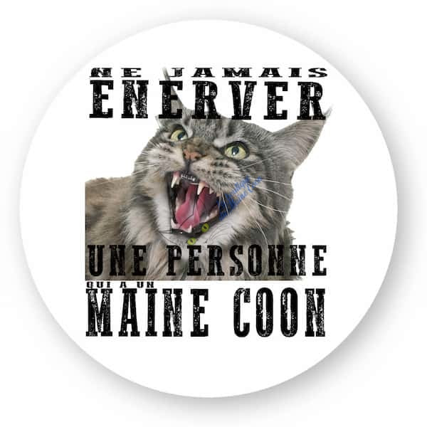 Sticker Ne jamais énervé rond | La boutique du Maine Coon